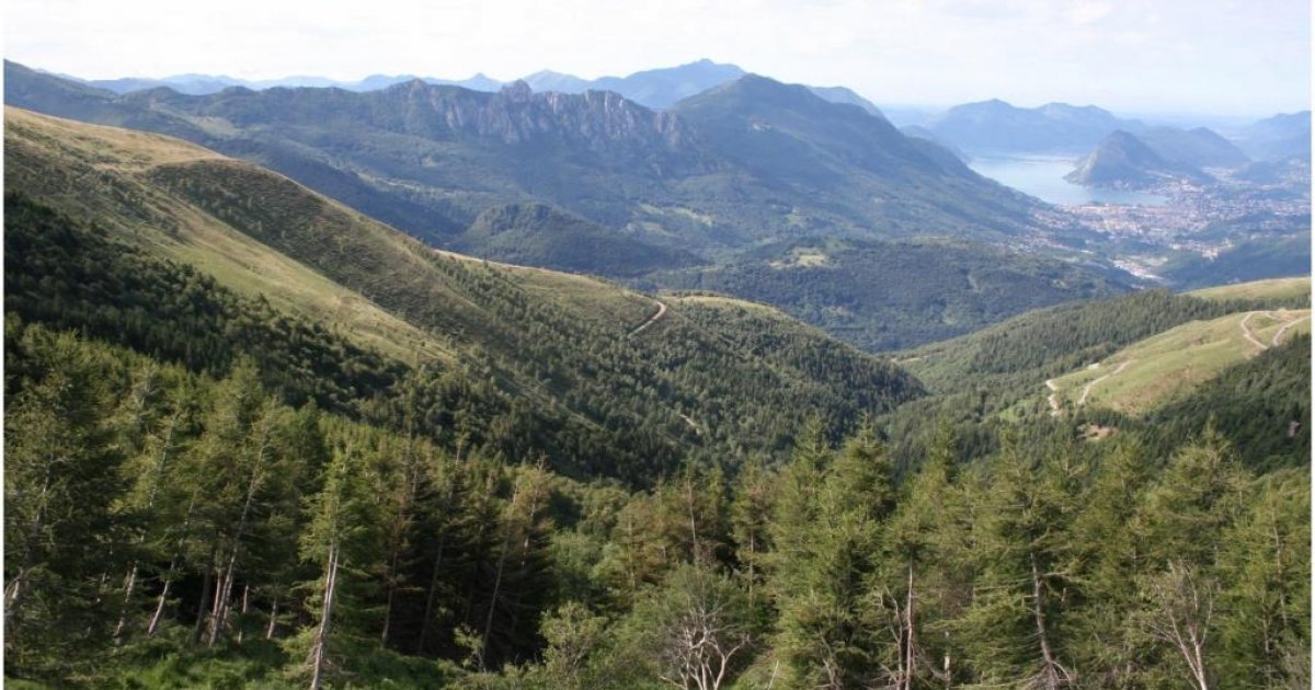 Val Colla: 9,8 milioni per i boschi di protezione | laRegione.ch