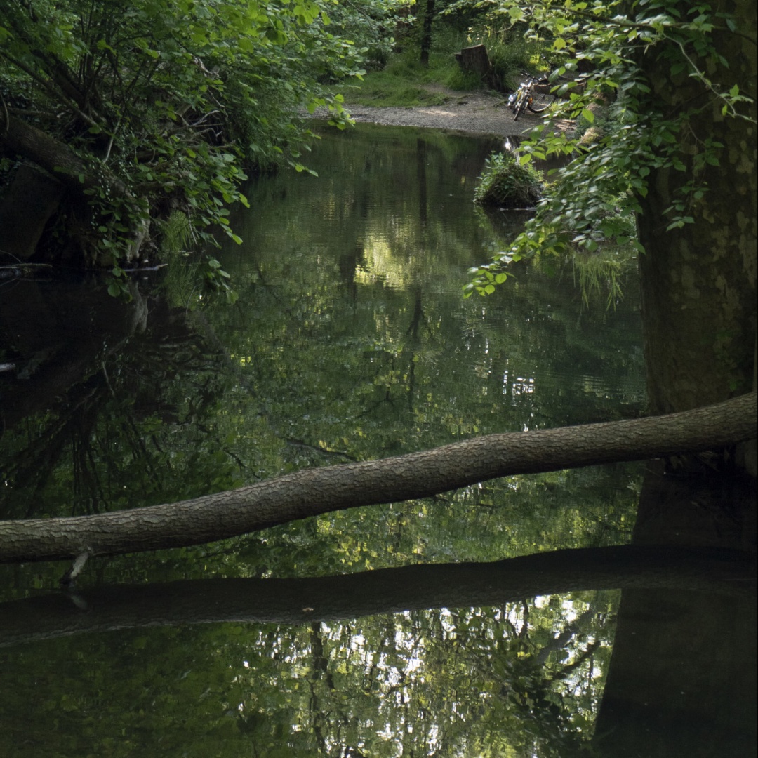 Il Laveggio, un fiume da vivere e con meno asfalto | laRegione.ch