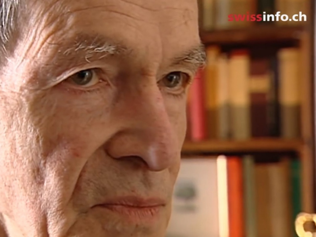 Nel corallo da record il segreto per salvare i reef | laRegione.ch