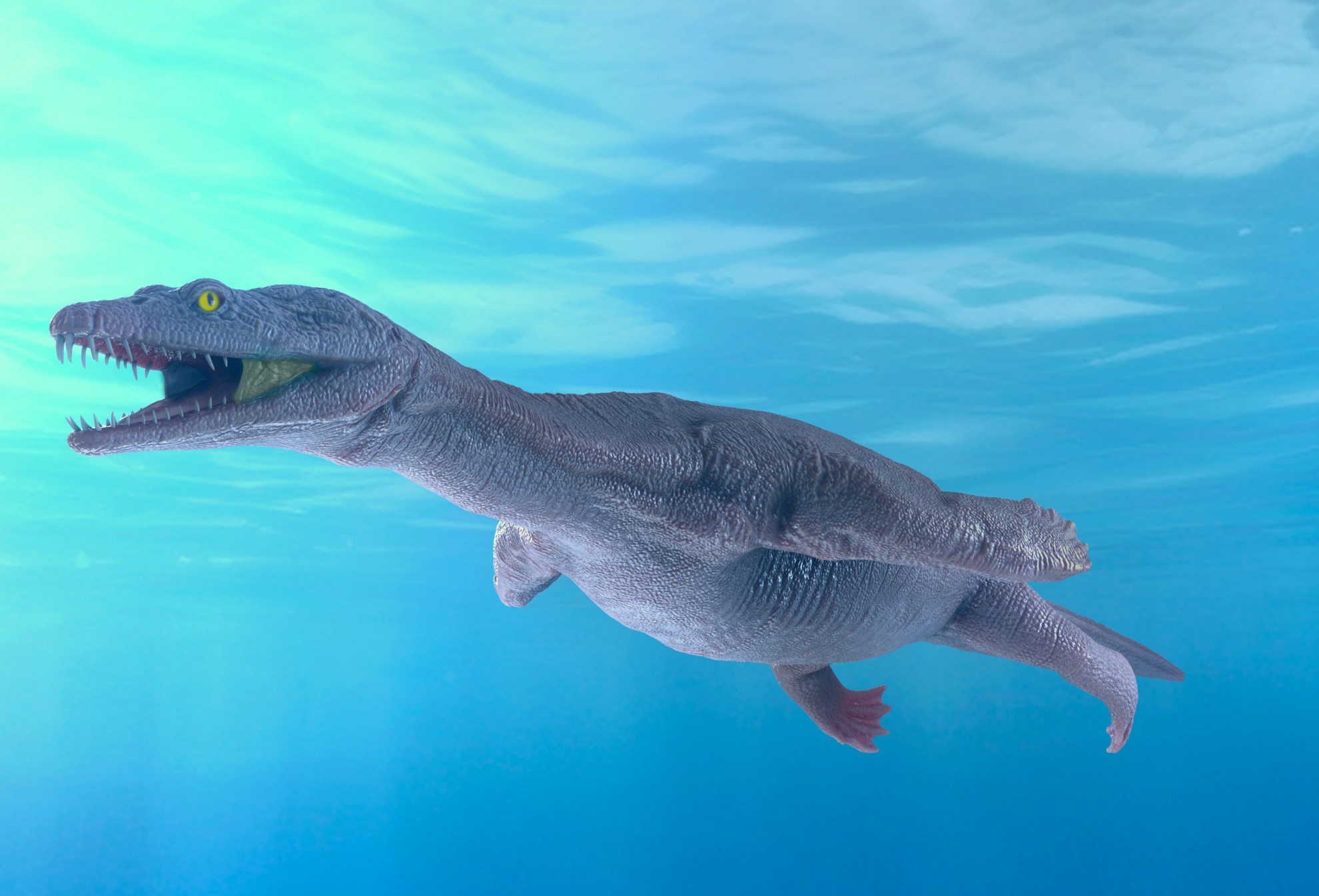 Scoperto un Lariosaurus con la pelle conservata sul San Giorgio ...